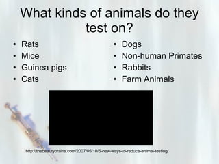 Animal Test | PPT