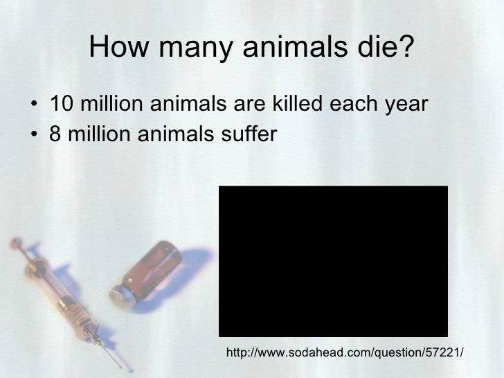Animal Test animal-test