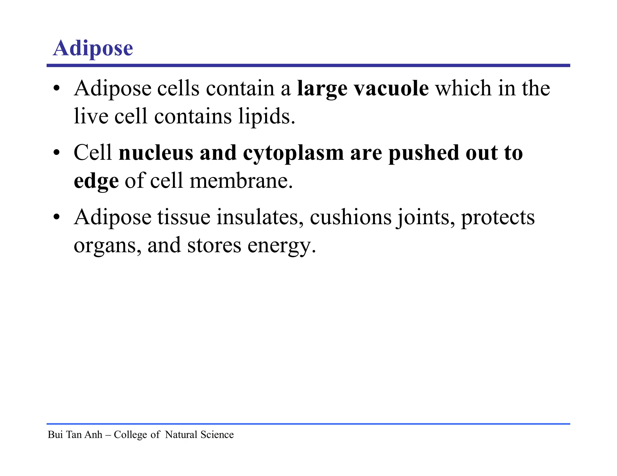 Animal Tissue Organ System powerpoint.pdf