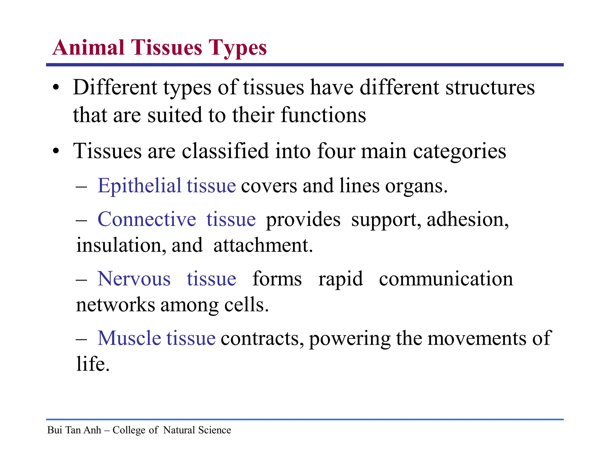 Animal Tissue Organ System powerpoint.pdf