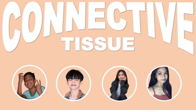 Animal Tissue 1 Pptx General Biology 1 Pptx Bone And Joint