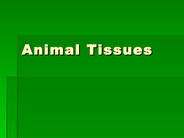Animal Tissues | PPT | Biological Sciences | Science