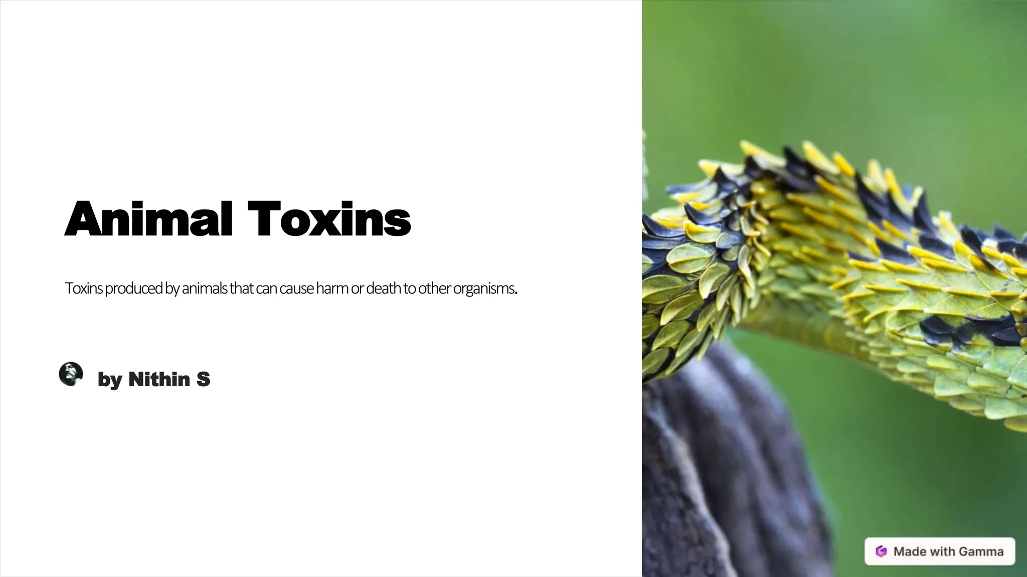 toxin produced by animals and their function or side effects on humans ...