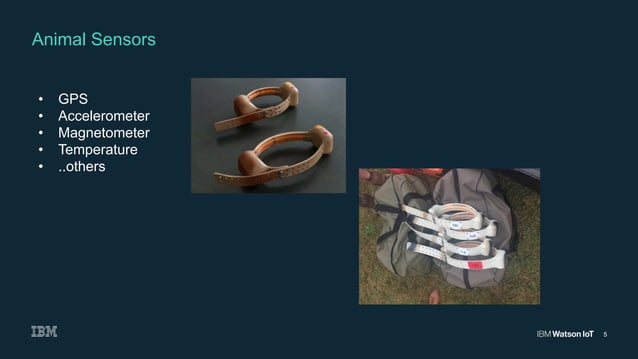 Animal tracking using Watson IoT and LoraWAN | PDF