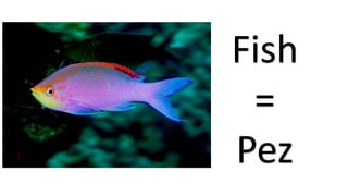 Animal vocabulary-flashcards-pronunciation-exercises-phonics-transla ...