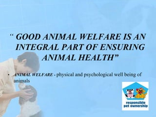 Animal welfare-and-responsible-pet-ownership | PPTX