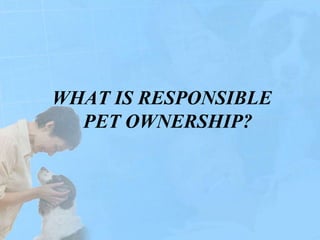 Animal welfare-and-responsible-pet-ownership | PPTX