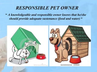 Animal welfare-and-responsible-pet-ownership | PPTX