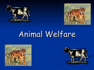 Animal Welfare | PPT
