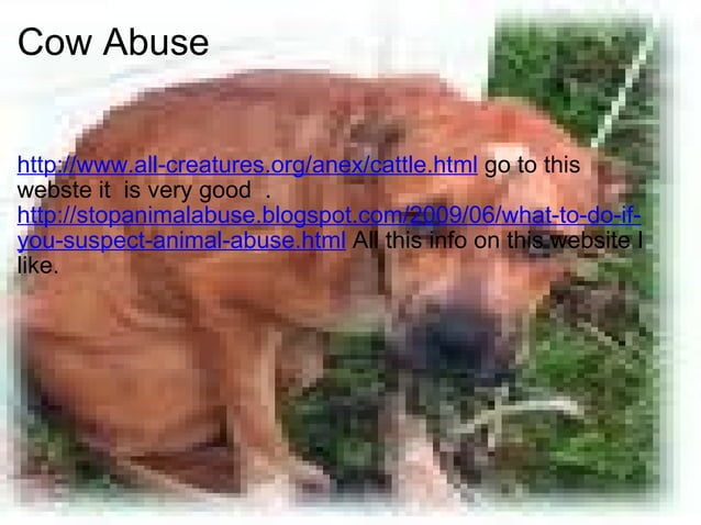 Animal abuse | PPT