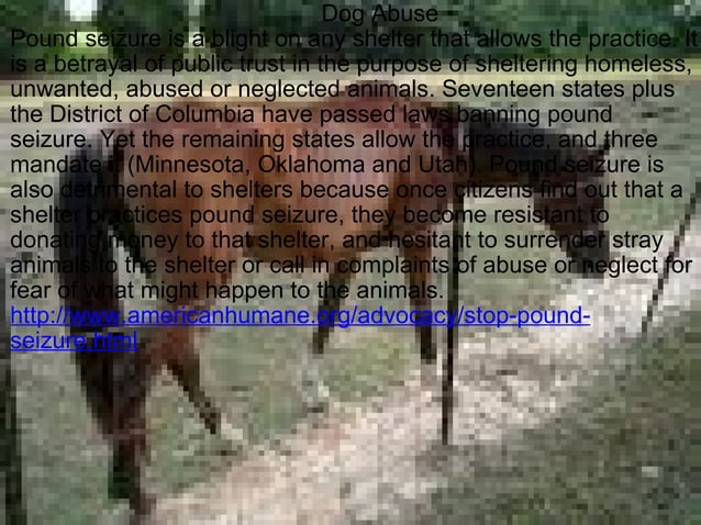 Animal abuse | PPT