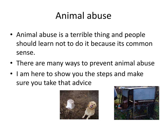 Animal abuse | PPT
