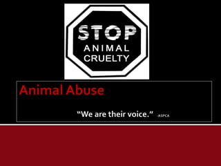 Animal abuse | PDF | Veterinary Medicine | Pets