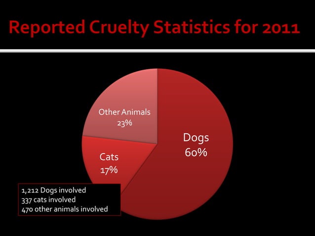 Animal abuse | PDF | Veterinary Medicine | Pets