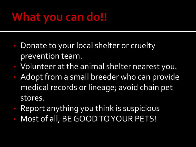 Animal abuse | PDF | Veterinary Medicine | Pets