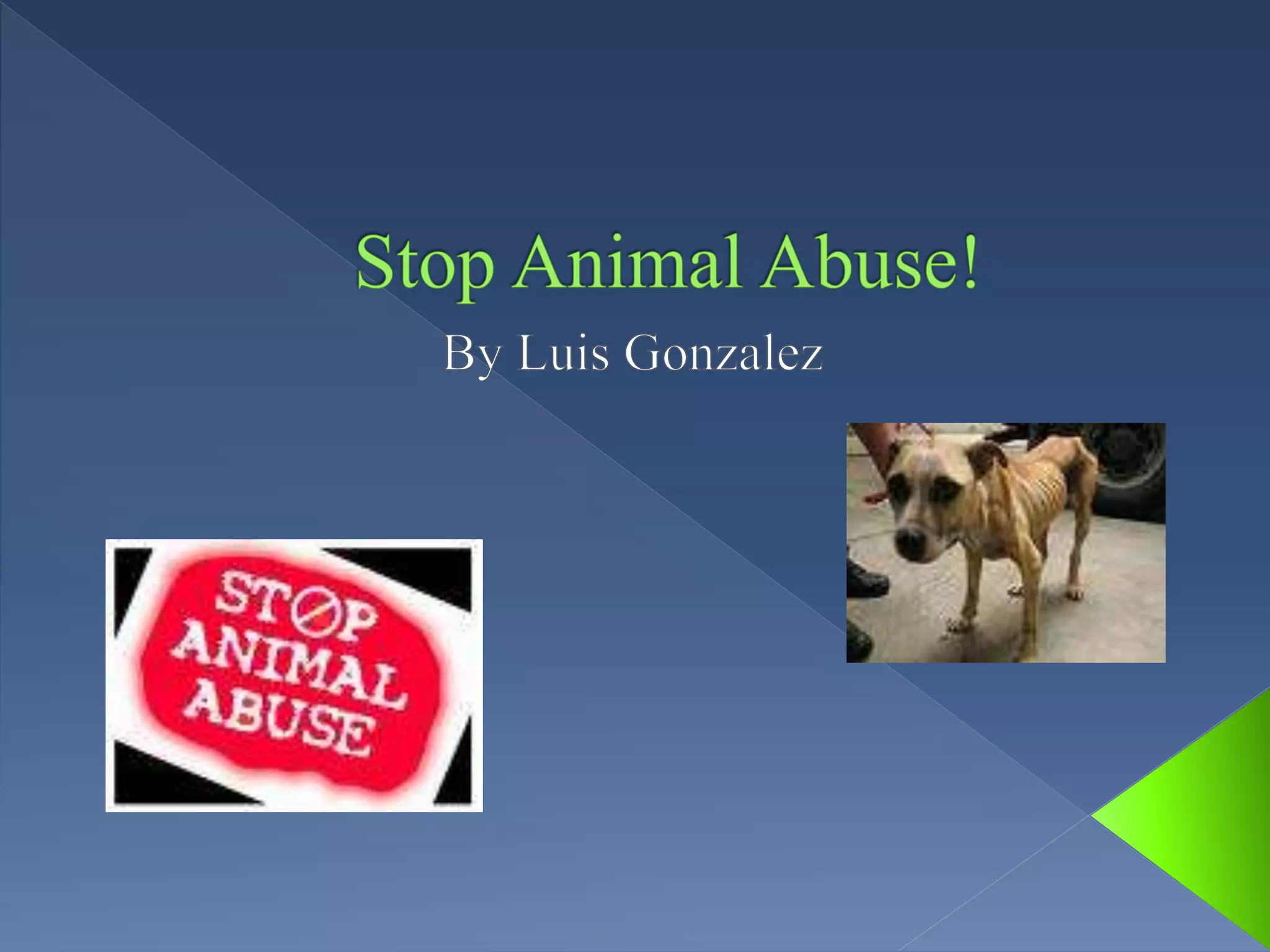 Animal abuse | PPTX