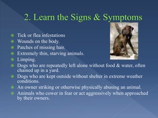 Animal abuse | PPT