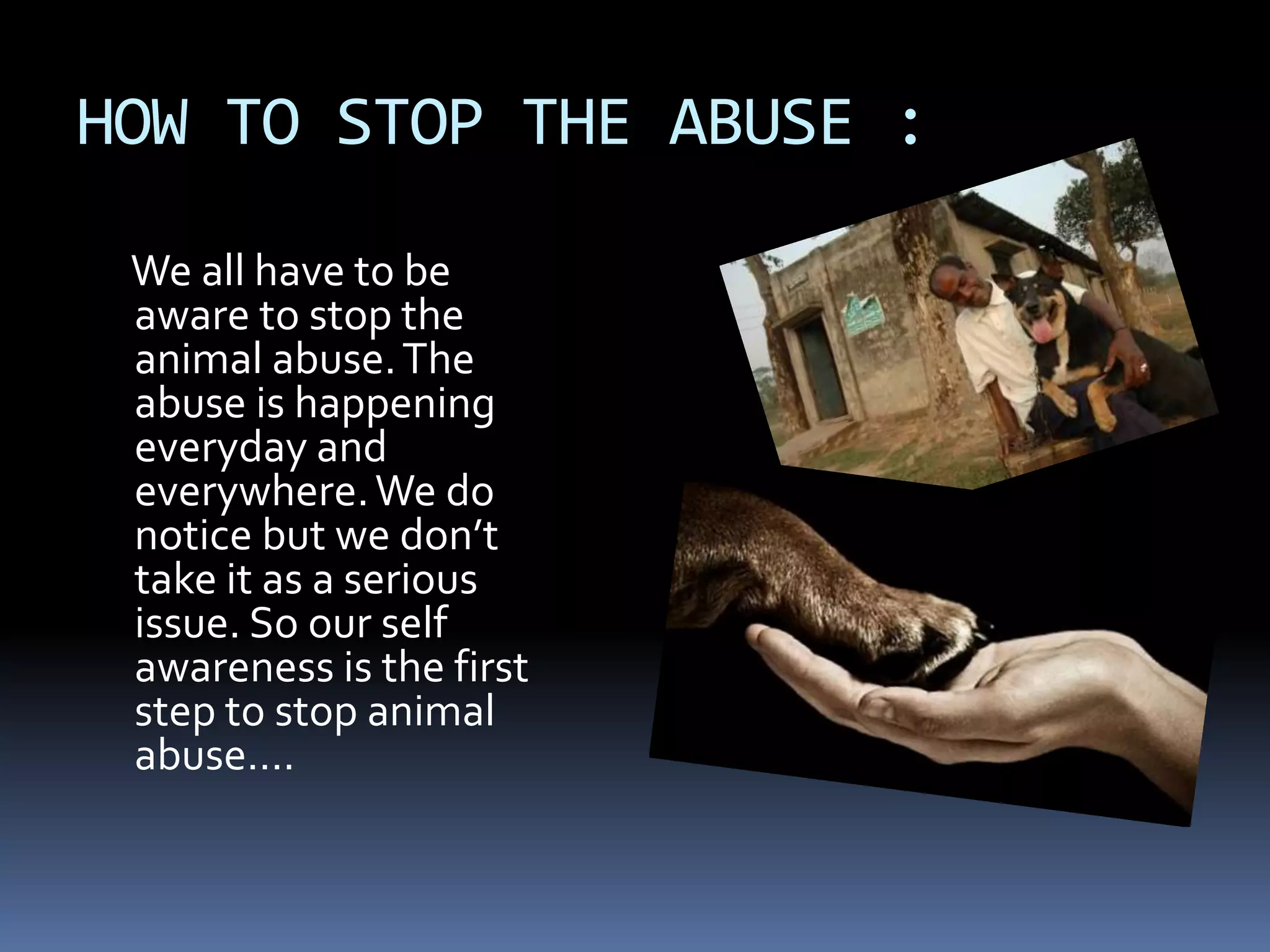 Animal abuse in BANGLADESH | PPT