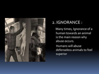 Animal abuse in BANGLADESH | PPT