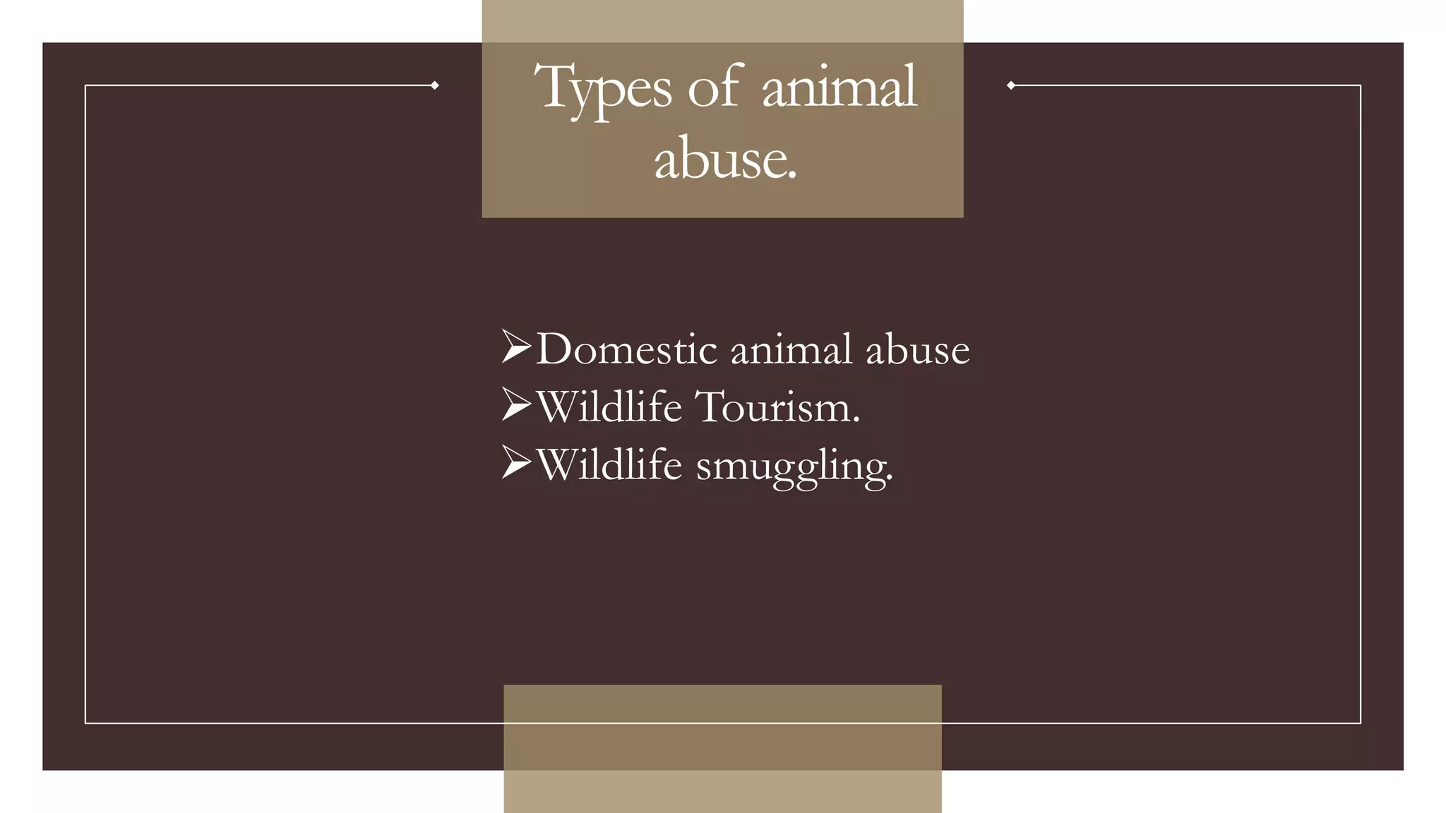 Animal abuse | PPTX