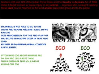 Animal abuse ASSIGNMENT | PPT