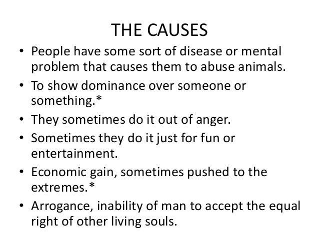 IB Exhibition Topic: Animal abuse-Rm 14