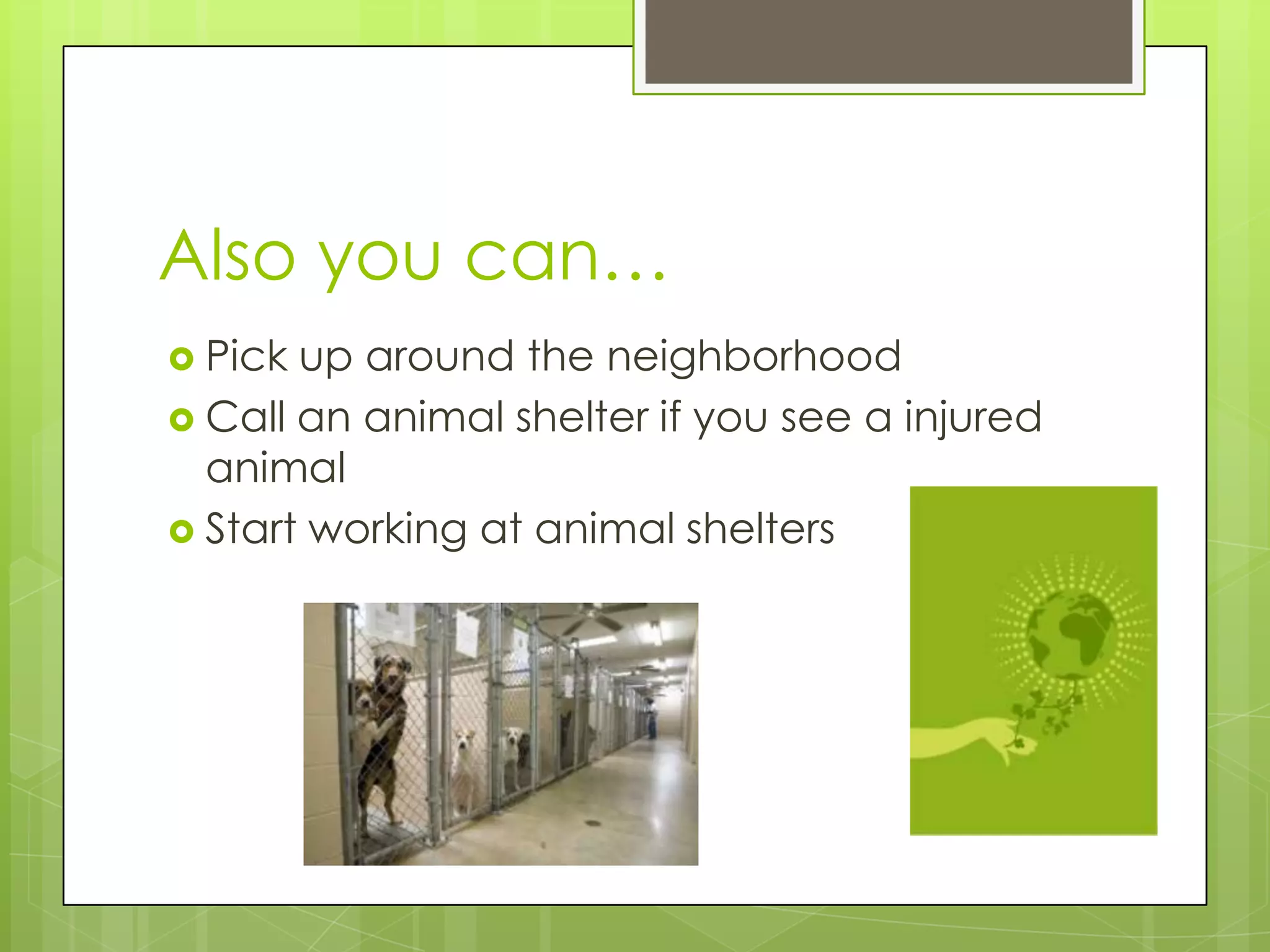 Animal abuse power point | PPTX