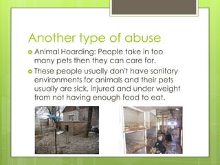 Animal abuse power point | PPTX
