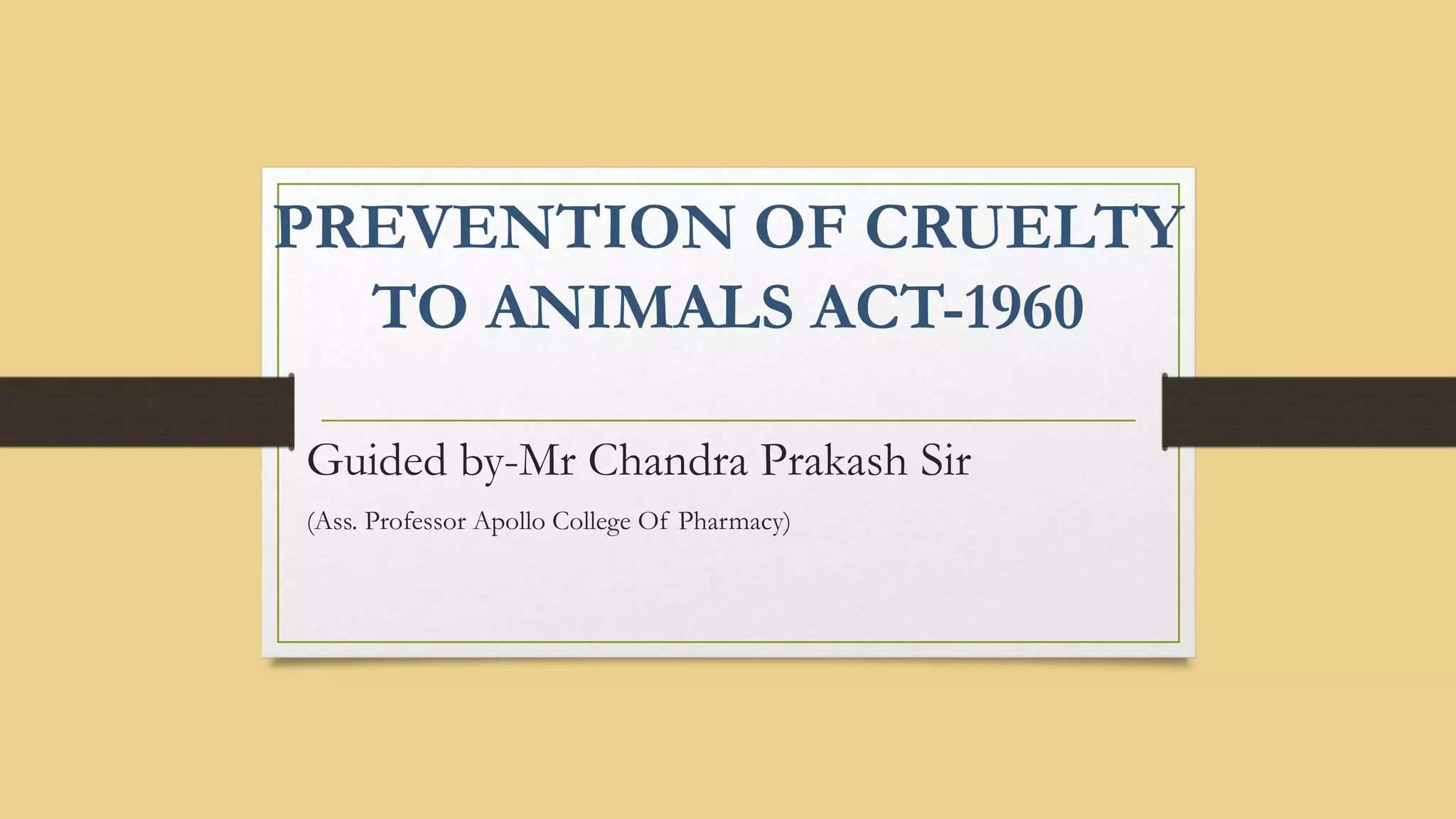 Animal act-1960 | PPT