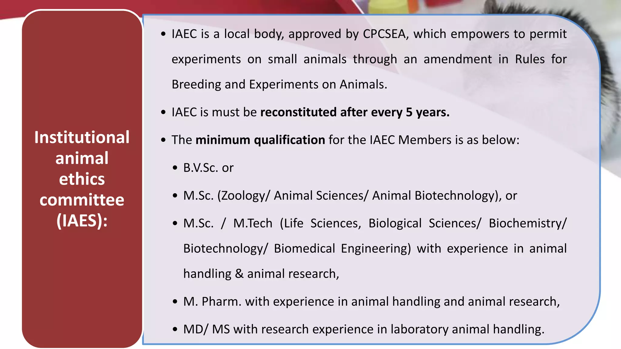 Animal act as per PCI | PPTX
