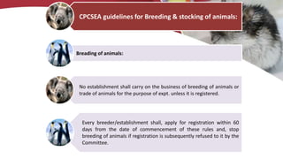 Animal act as per PCI | PPTX