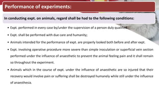 Animal act as per PCI | PPTX