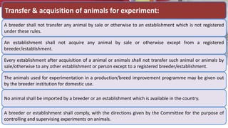 Animal act as per PCI | PPTX