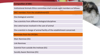 Animal act as per PCI | PPTX