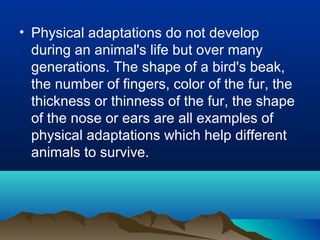 Animal Adaptation | PPT