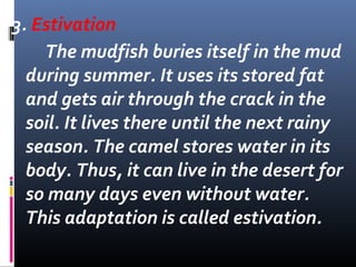 Animal adaptation | PPT