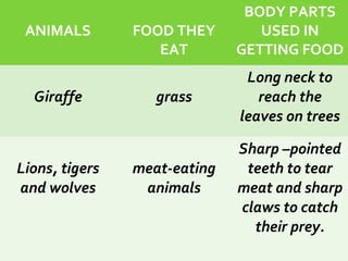 Animal adaptation | PPT