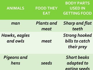 Animal adaptation | PPT