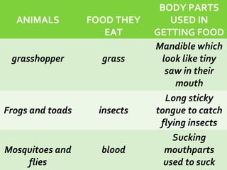 Animal adaptation | PPT