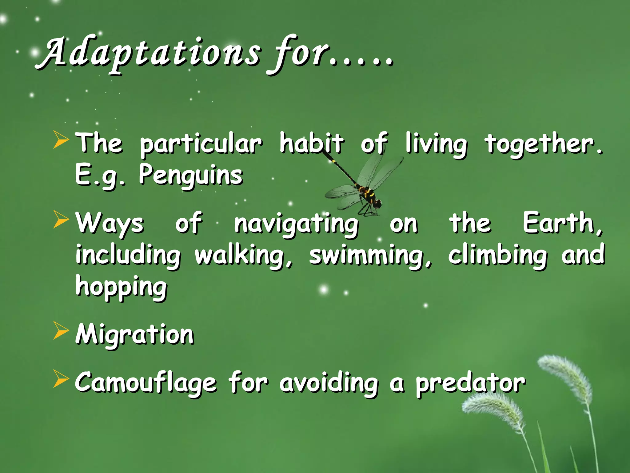 Animal adaptation and camouflage | PPT | Reptiles | Pets