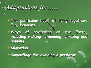 Animal adaptation and camouflage | PPT | Reptiles | Pets
