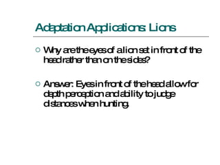 Animal adaptations | PPT