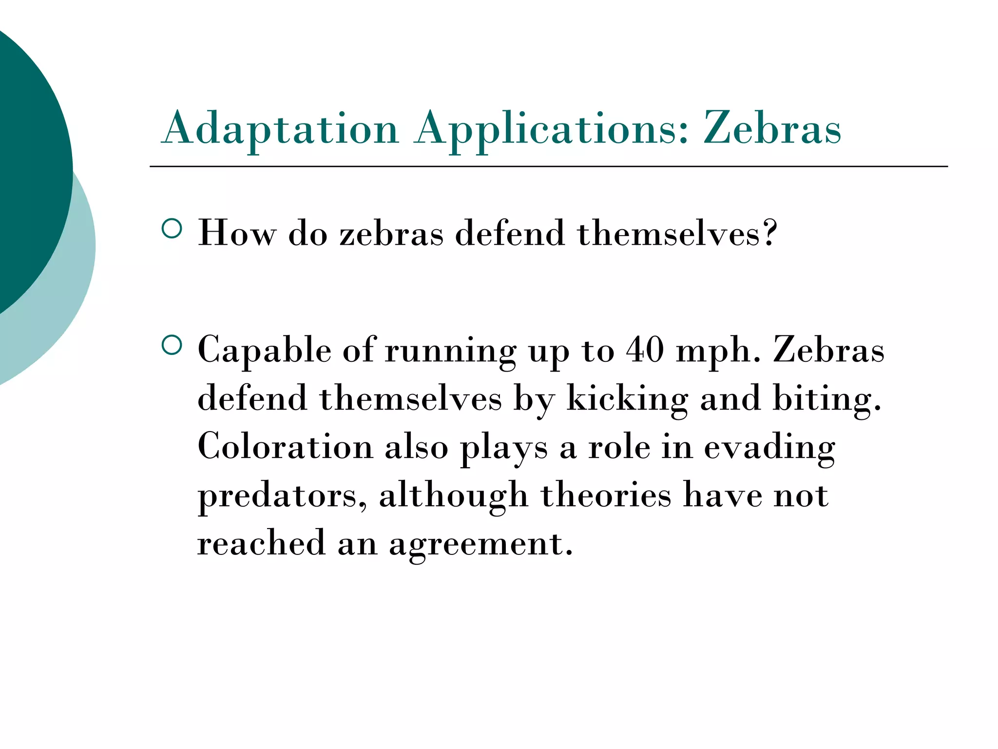 Animal adaptations | PPT | Zoos & Aquariums | Attractions