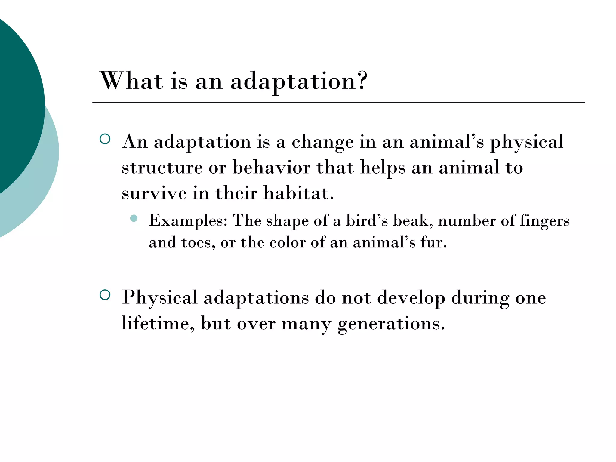 Animal adaptations | PPT | Zoos & Aquariums | Attractions