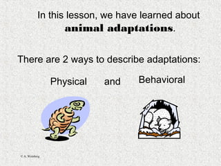 Animal adaptations | PPT