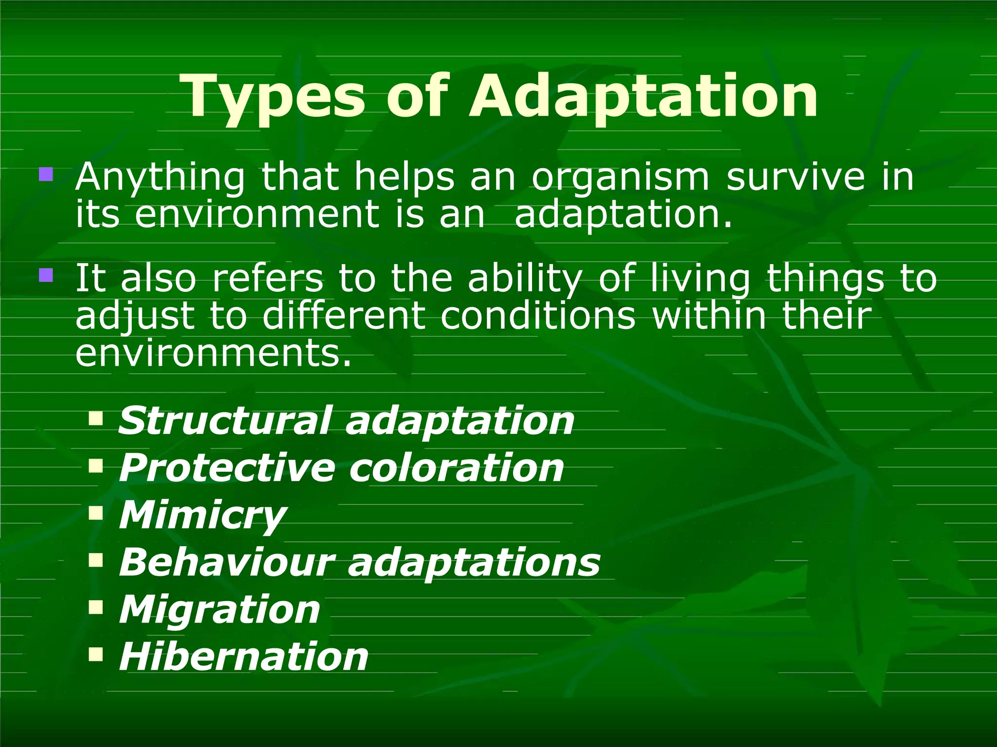 Animal Adaptations | PDF