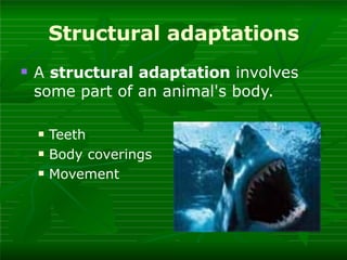 Animal Adaptations | PDF