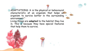 Animal adaptations | PDF