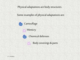 animal_adaptations.ppt