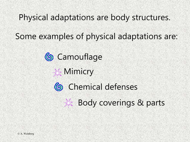 animal_adaptations.ppt